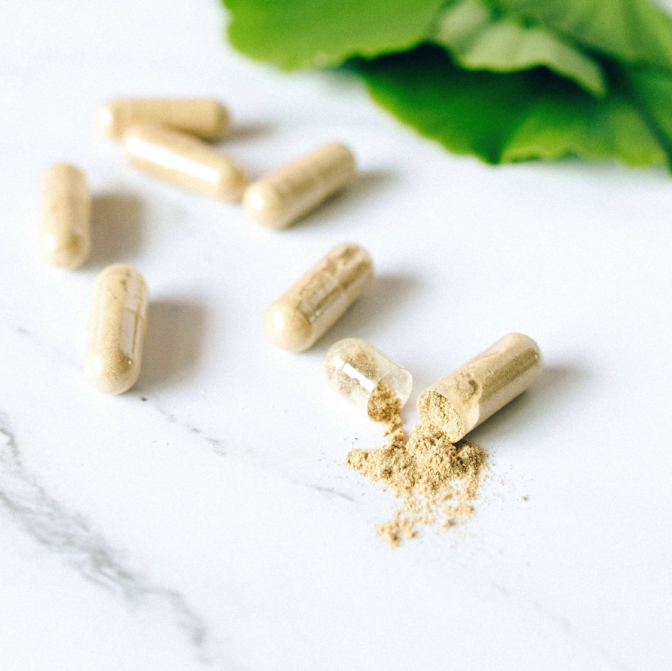 Happy Beat – Floradapt